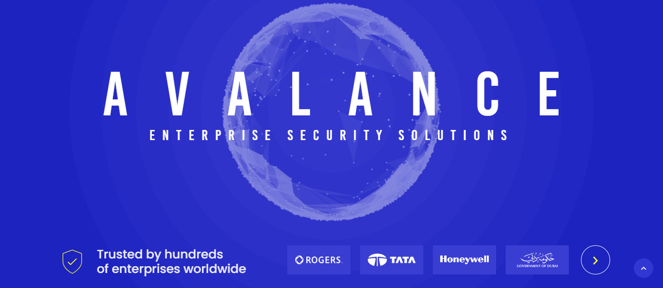 Avalance: Enterprise Security Solutions Website Case Study - Megh ...