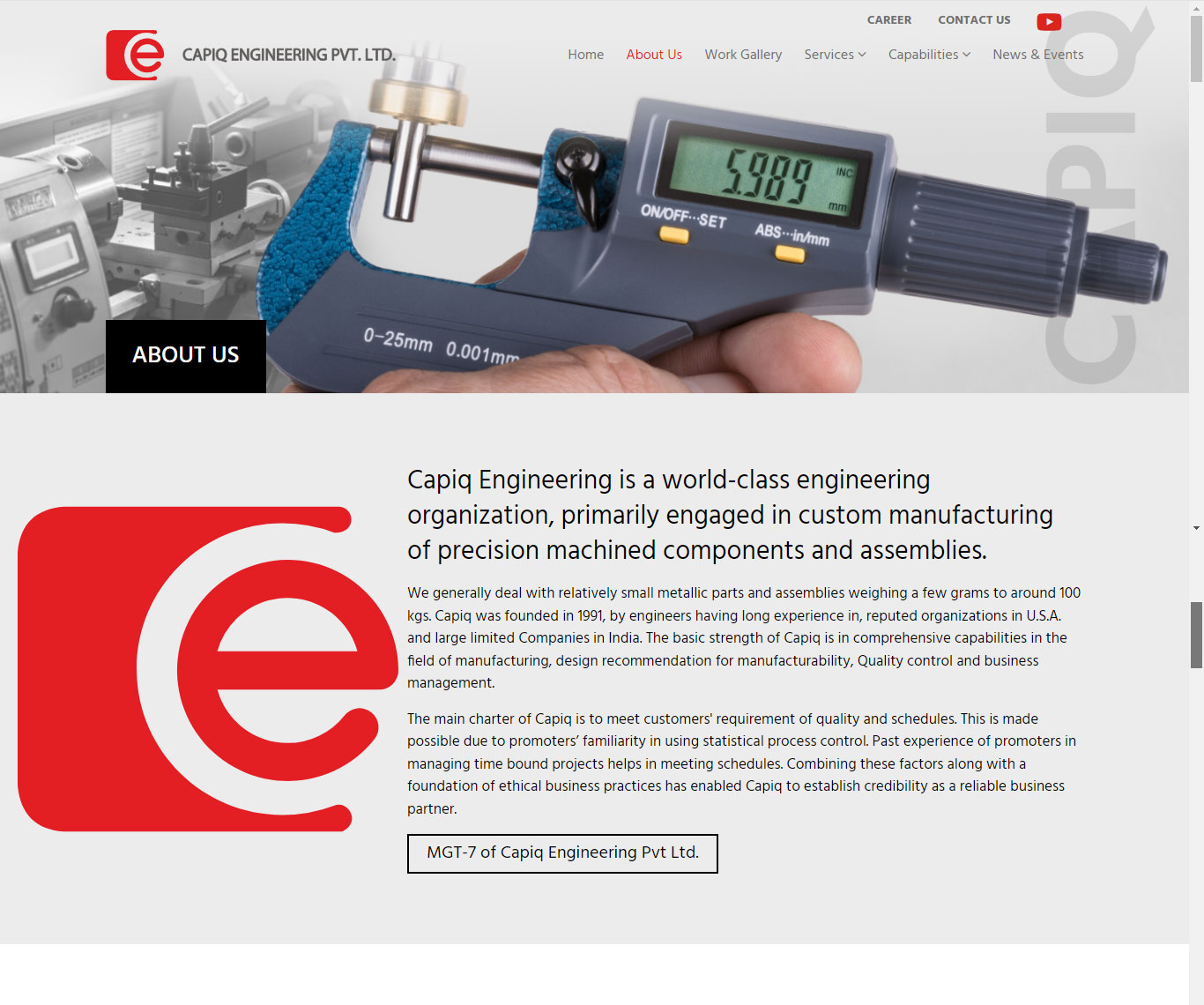 Website Design Case Study - Capiq Engineering Private Limited - Megh ...